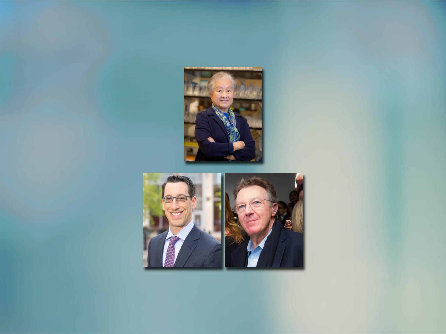 Special Professorships | University Academic Affairs